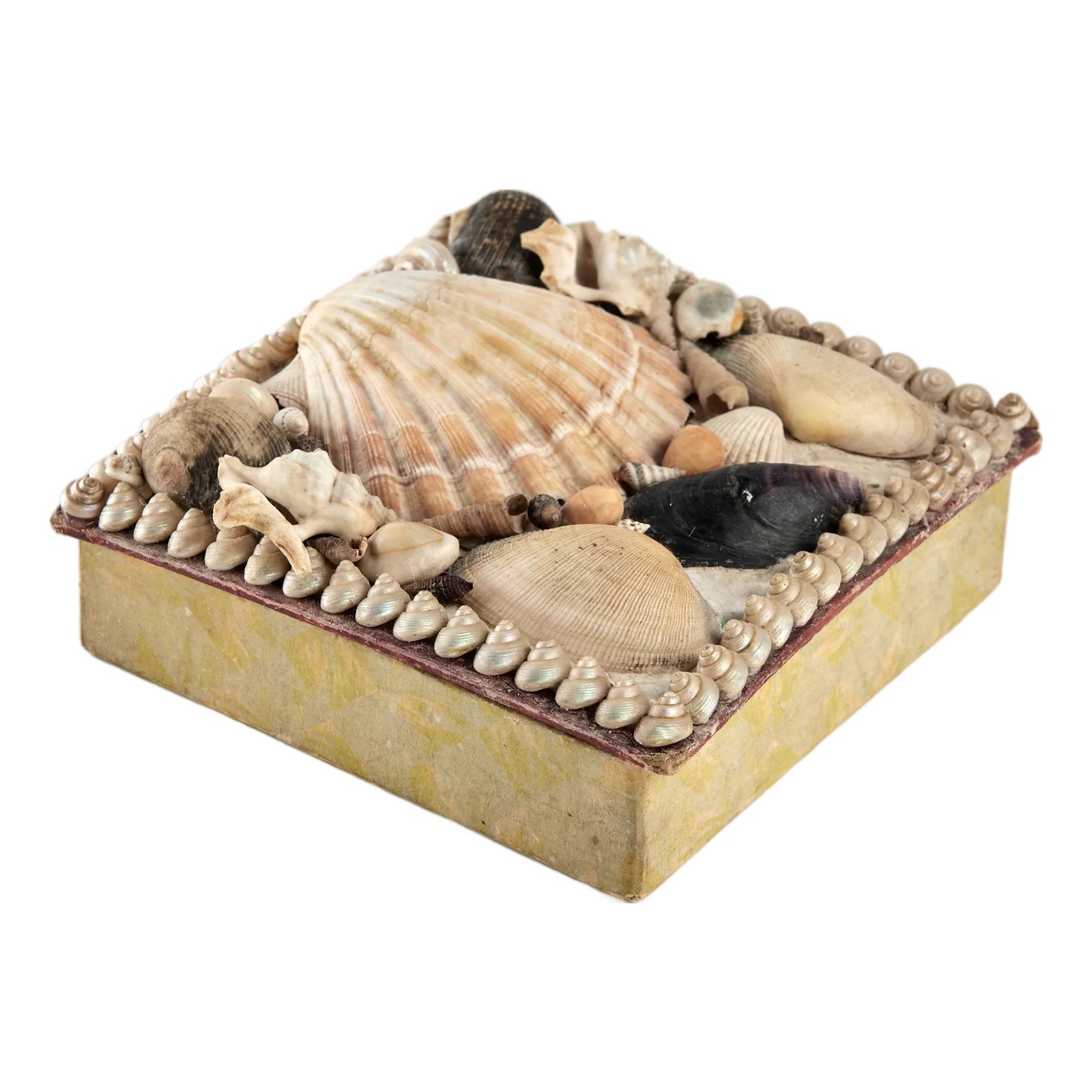 Antique Seashell Box | Chairish