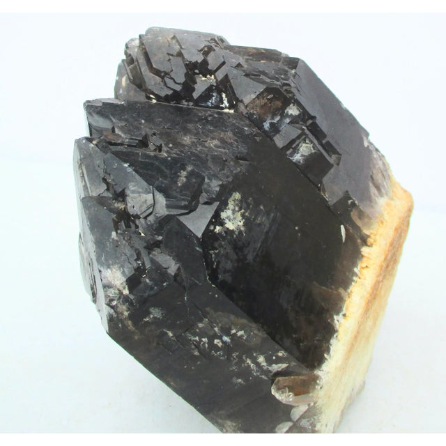 Mineral Specimen Black Quartz Crystal | Chairish