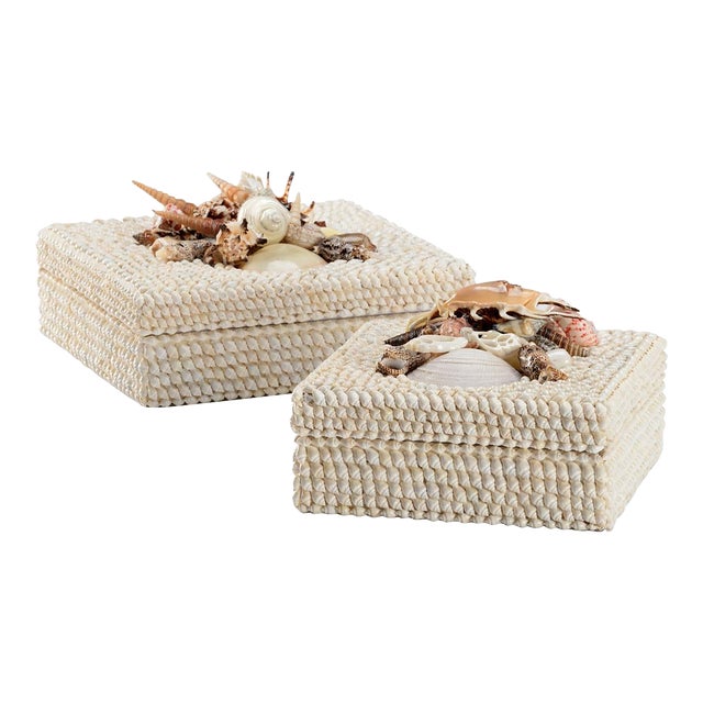 White Shell Boxes - Set of 2 | Chairish