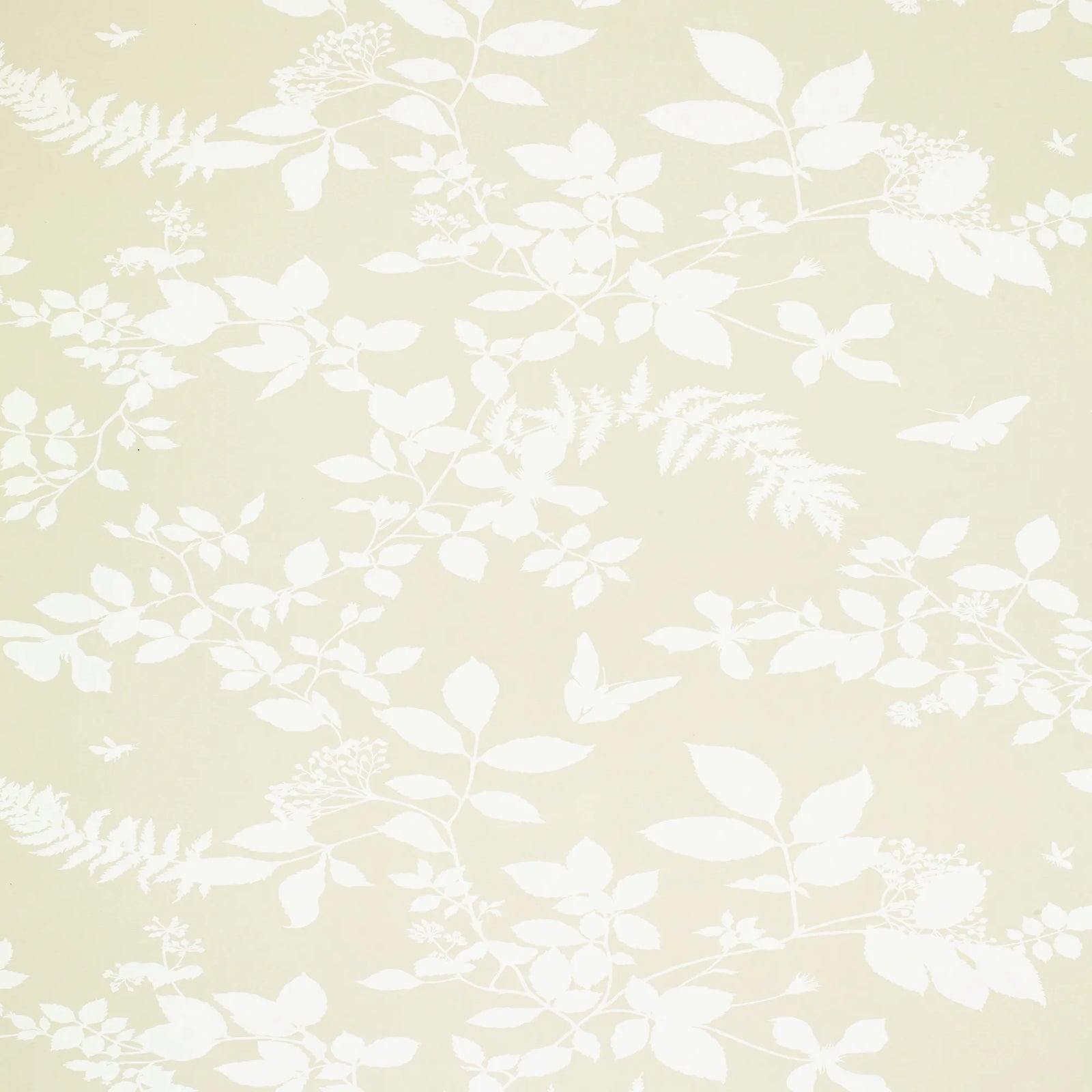 Sample - Schumacher Shadow Vine Wallpaper in Bone | Chairish