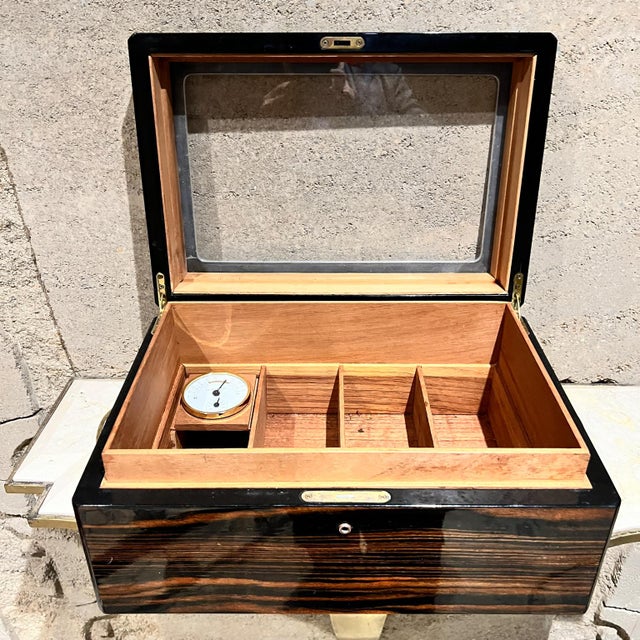 Luxurious Cigar Humidor Exotic Macassar Glass and Brass | Chairish