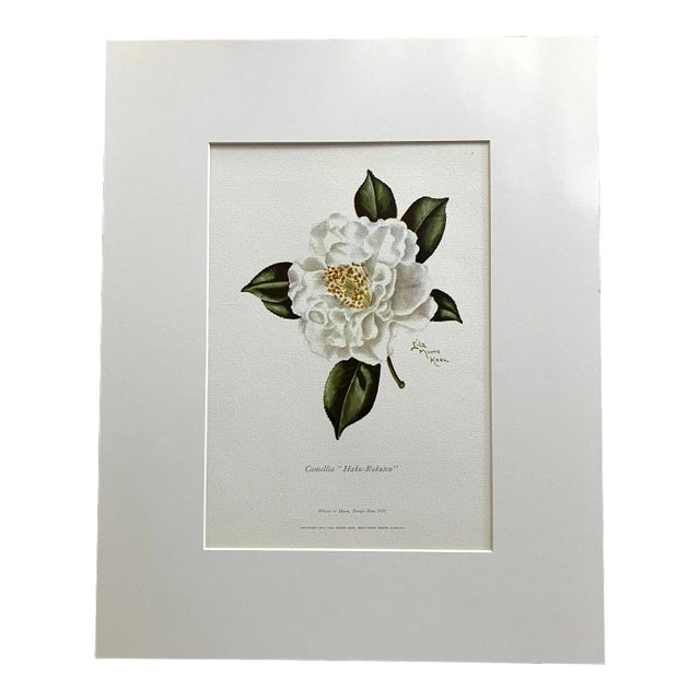 Vintage Lila Moore Keen "Haku-Rakuten" Print in 16x20 Mat | Chairish
