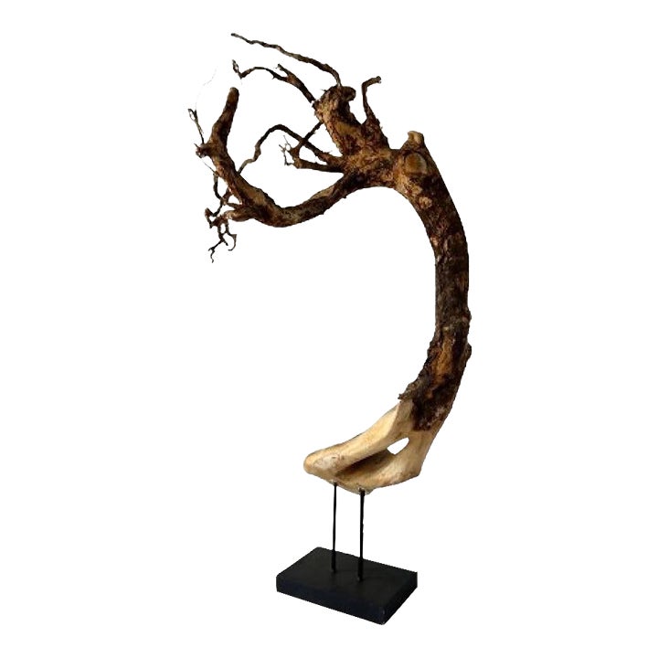 Tree Root Table Top Sculpture | Chairish