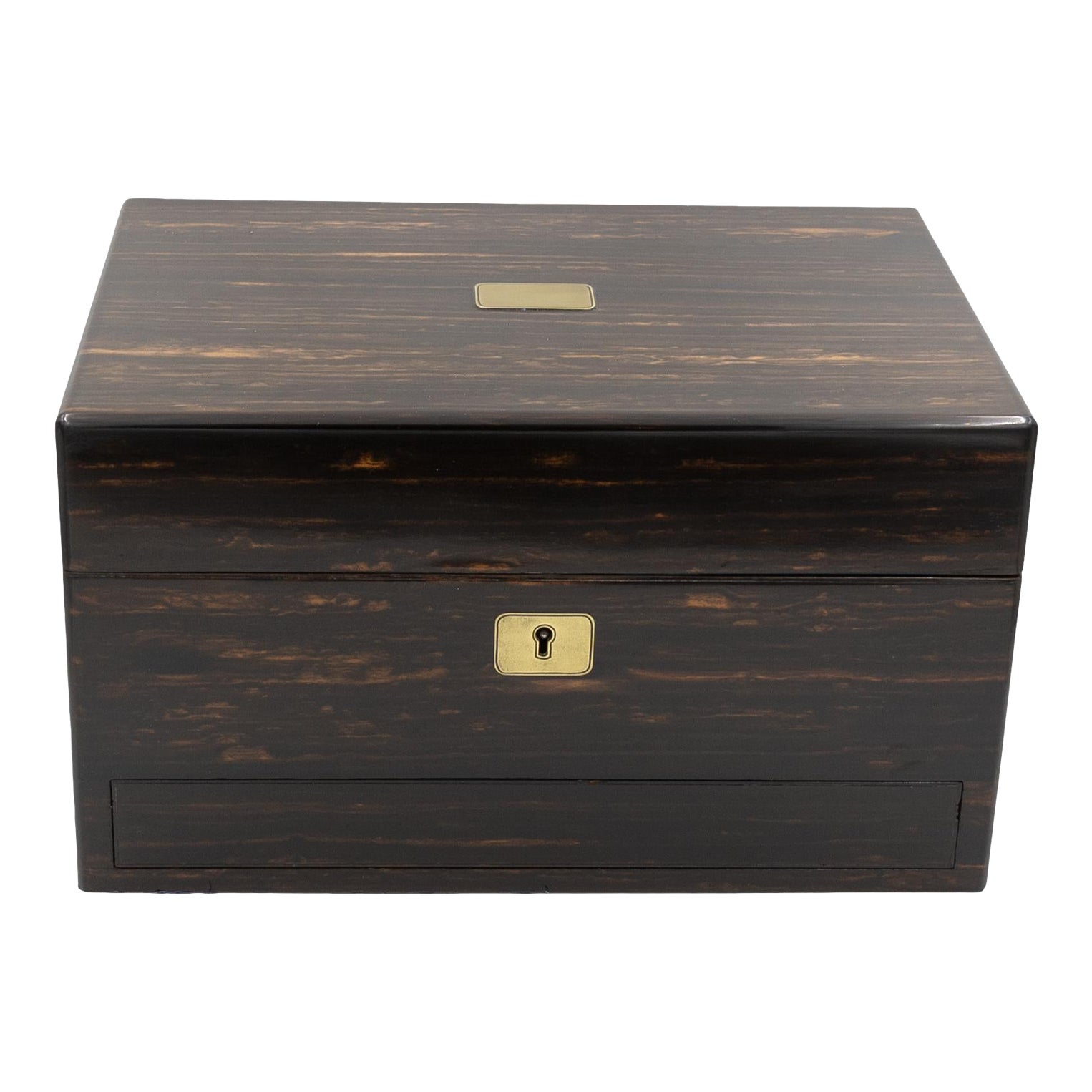 Mid 19th Century English Coromandel Wood Dressing/Jewel Box | Chairish