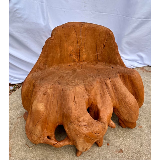 Rustic Teak Root Chair | Chairish