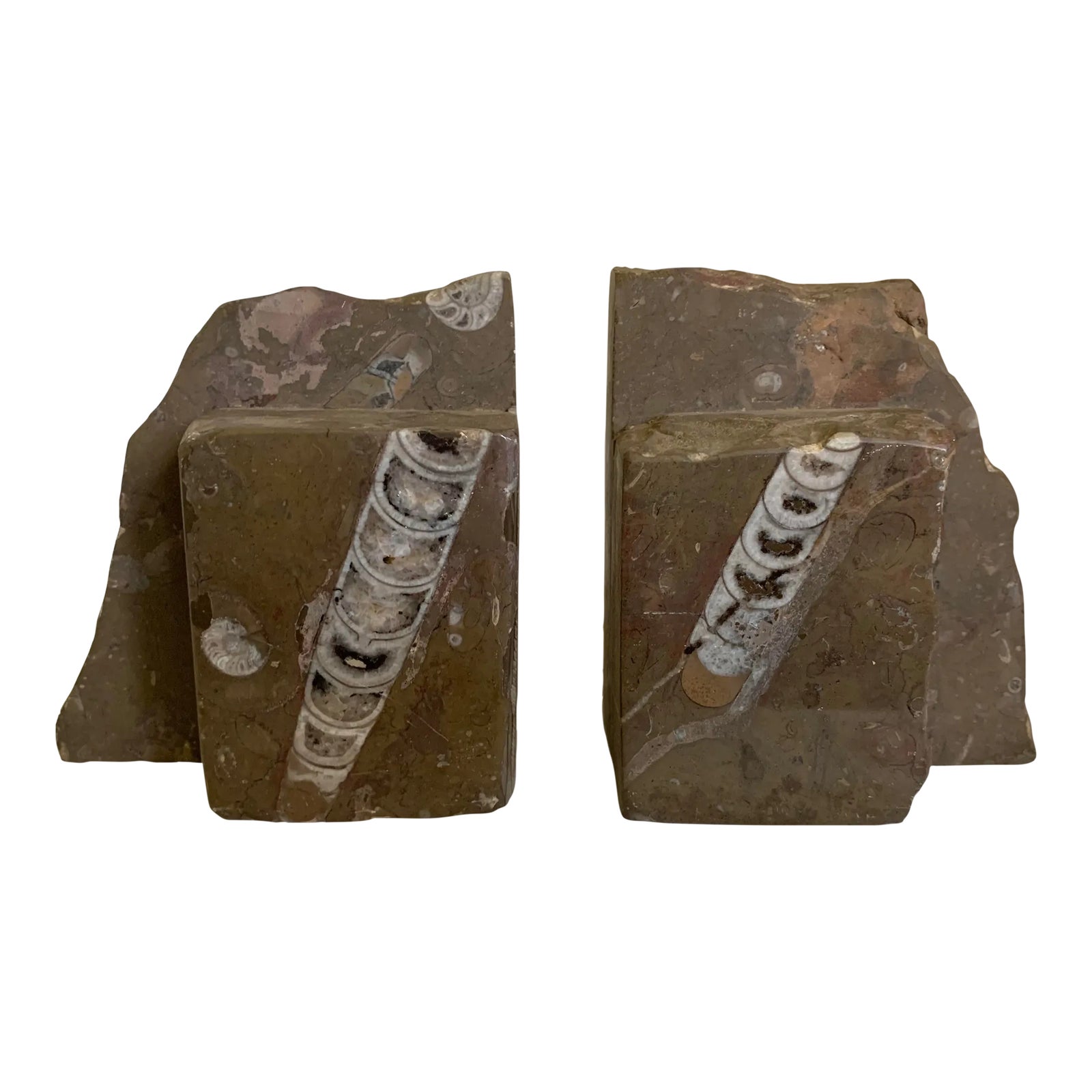Vintage Natural Limestone With Fossils Bookends - a Pair | Chairish
