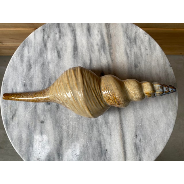 Ceramic Drip Glaze Conch Sea Shell Pottery | Chairish