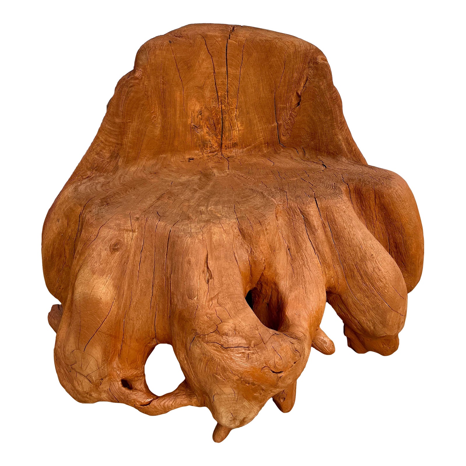 Rustic Teak Root Chair | Chairish