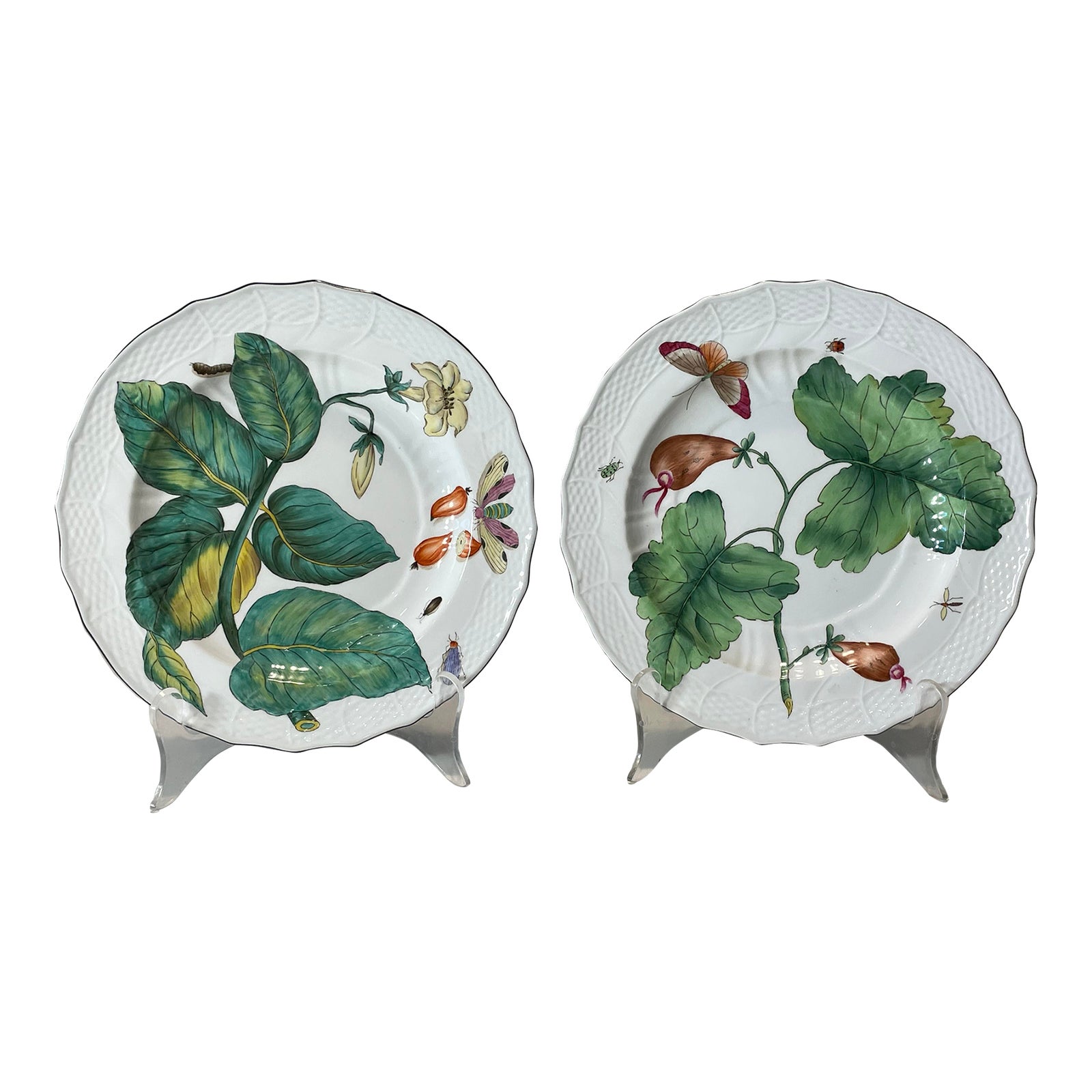 Vintage Botanical and Insect Hand-Painted Decorative Dinner Plates by ...