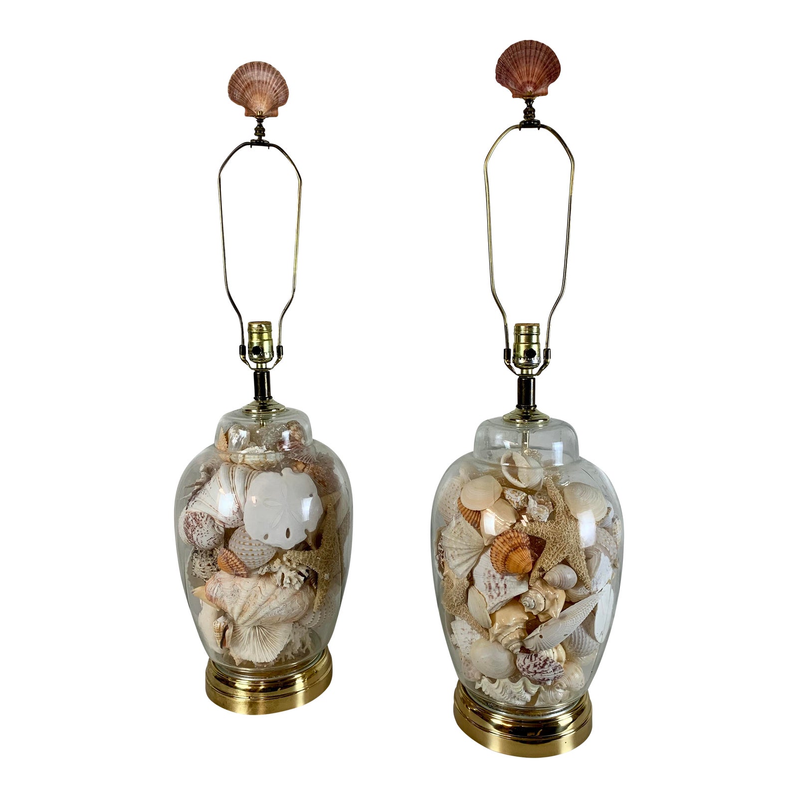 Glass Ginger Jar Shell Filled Table Lamps | Chairish