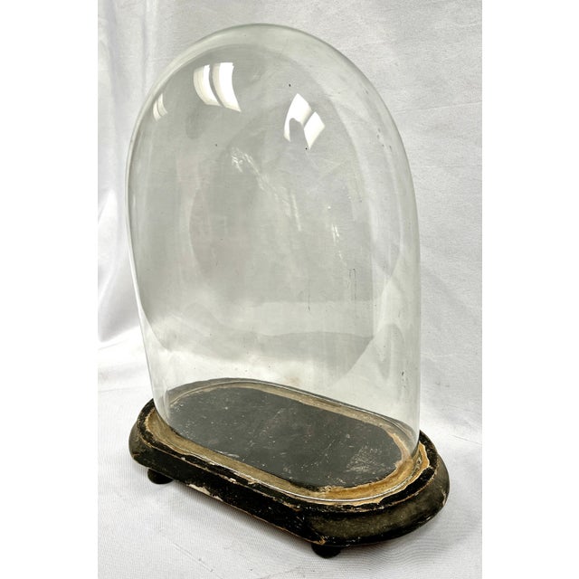 Late 1800s French Cloche on Oval Wood Footed Stand | Chairish