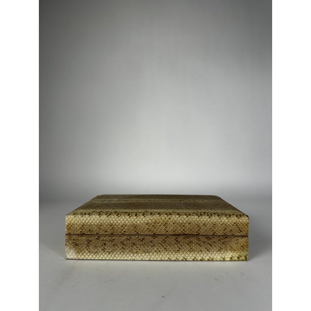 1980s Vintage Snakeskin Hinged Box | Chairish