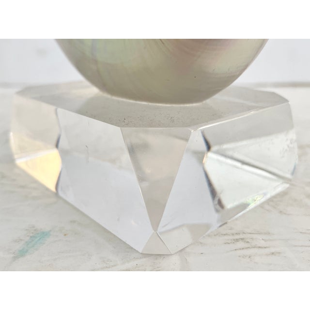Shell on a Lucite Base | Chairish
