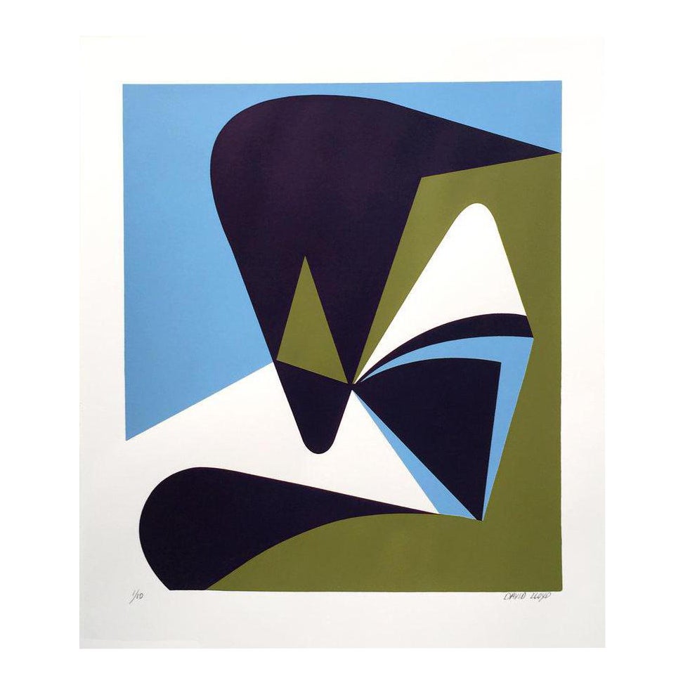 "Abstraction #3" Contemporary Abstract Silkscreen Print | Chairish