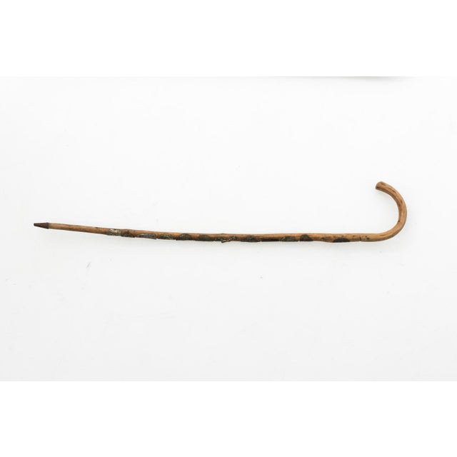 Vintage German Walking Sticks | Chairish