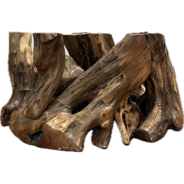 Organic Root Coffee Table Base | Chairish