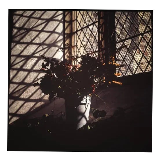 Paul Cooklin, Silence II, C Type Photograph, Limited Edition of 10 ...
