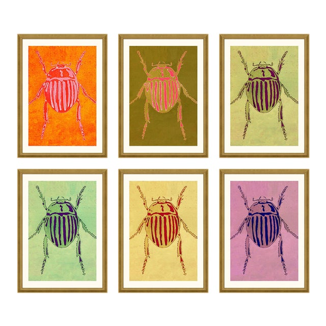 Striped Beetle Set of 6 by Jessica Molnar in Gold Frame, Medium Art ...