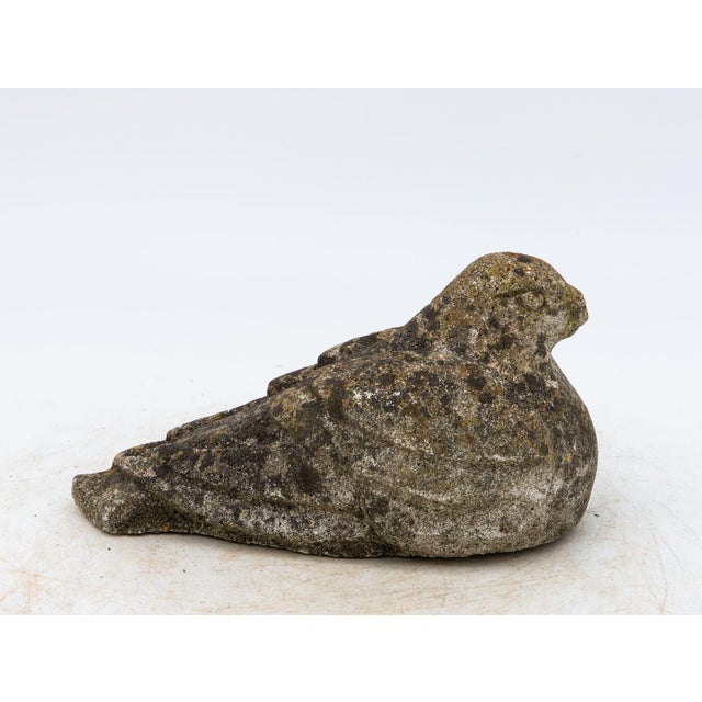 Stone Dove Garden Ornament, England 20th Century | Chairish
