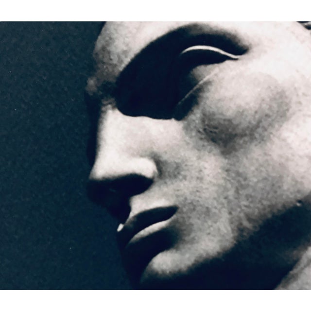 James White Statuary at the Stadio Dei Marmi, Rome Photograph | Chairish