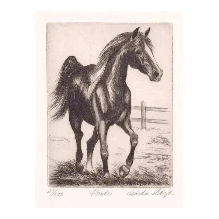 1980s Linda Lloyd Equestrian Etching | Chairish