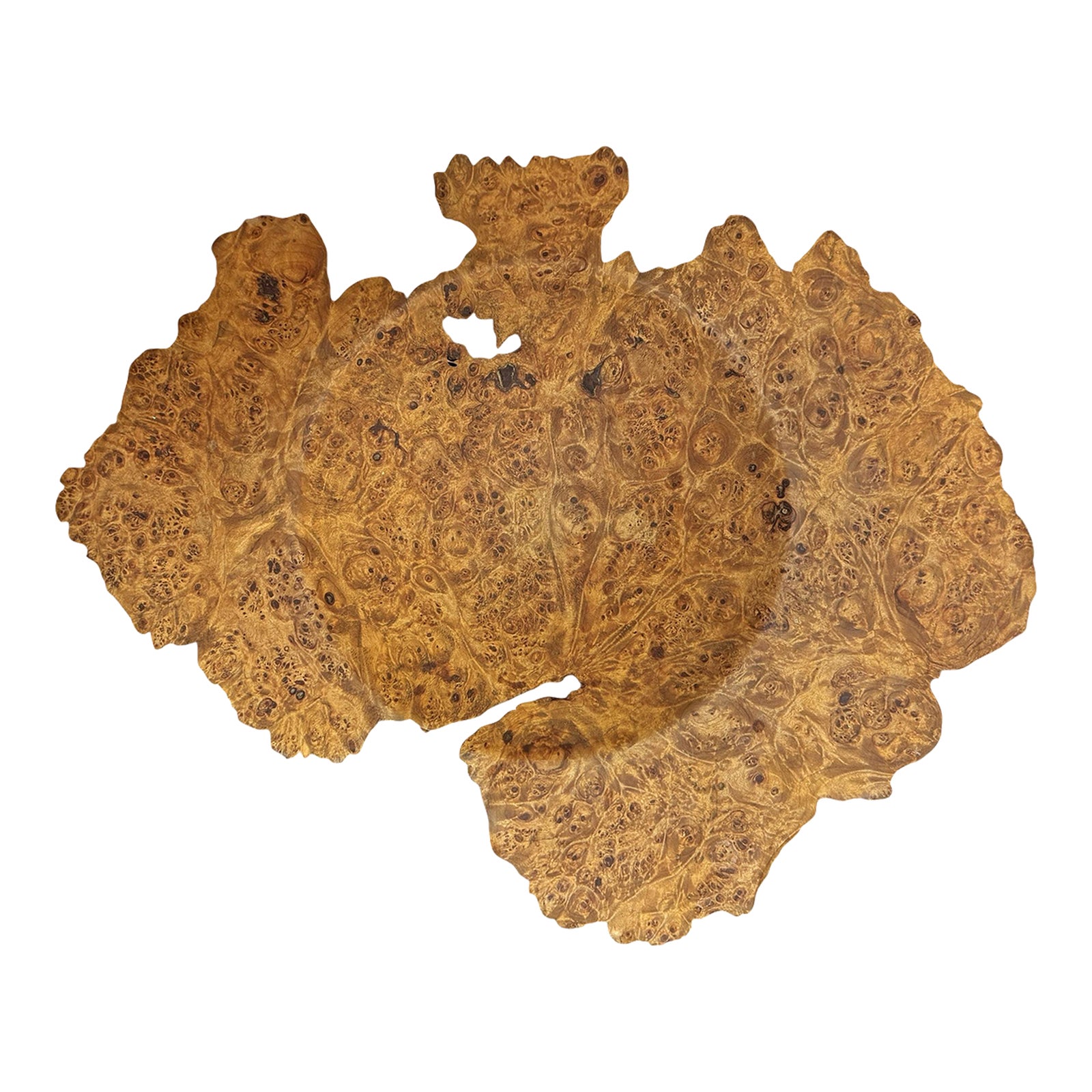 Vintage American Burled Maple Tray | Chairish