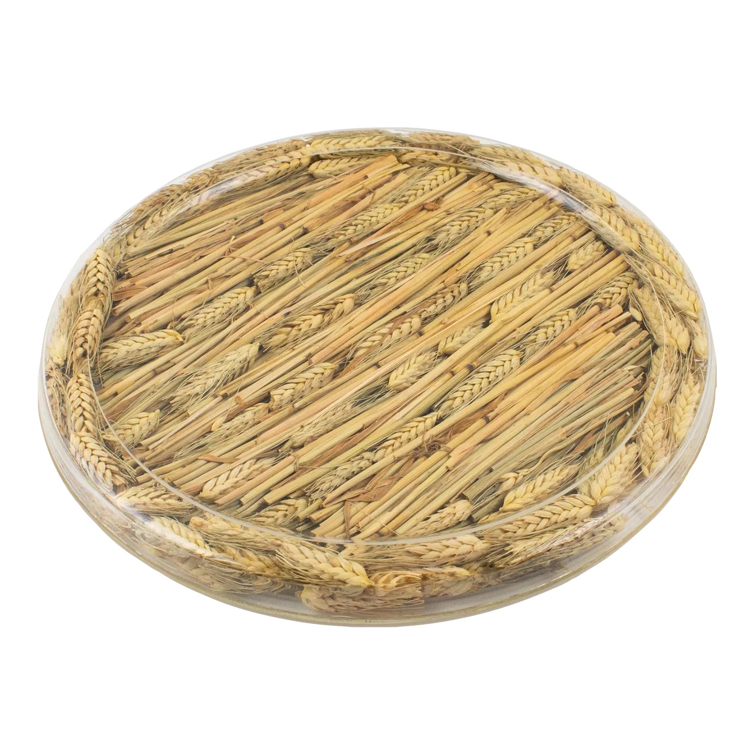 Christian Dior Home Collection Tray Board Platter Lucite and Wheat ...