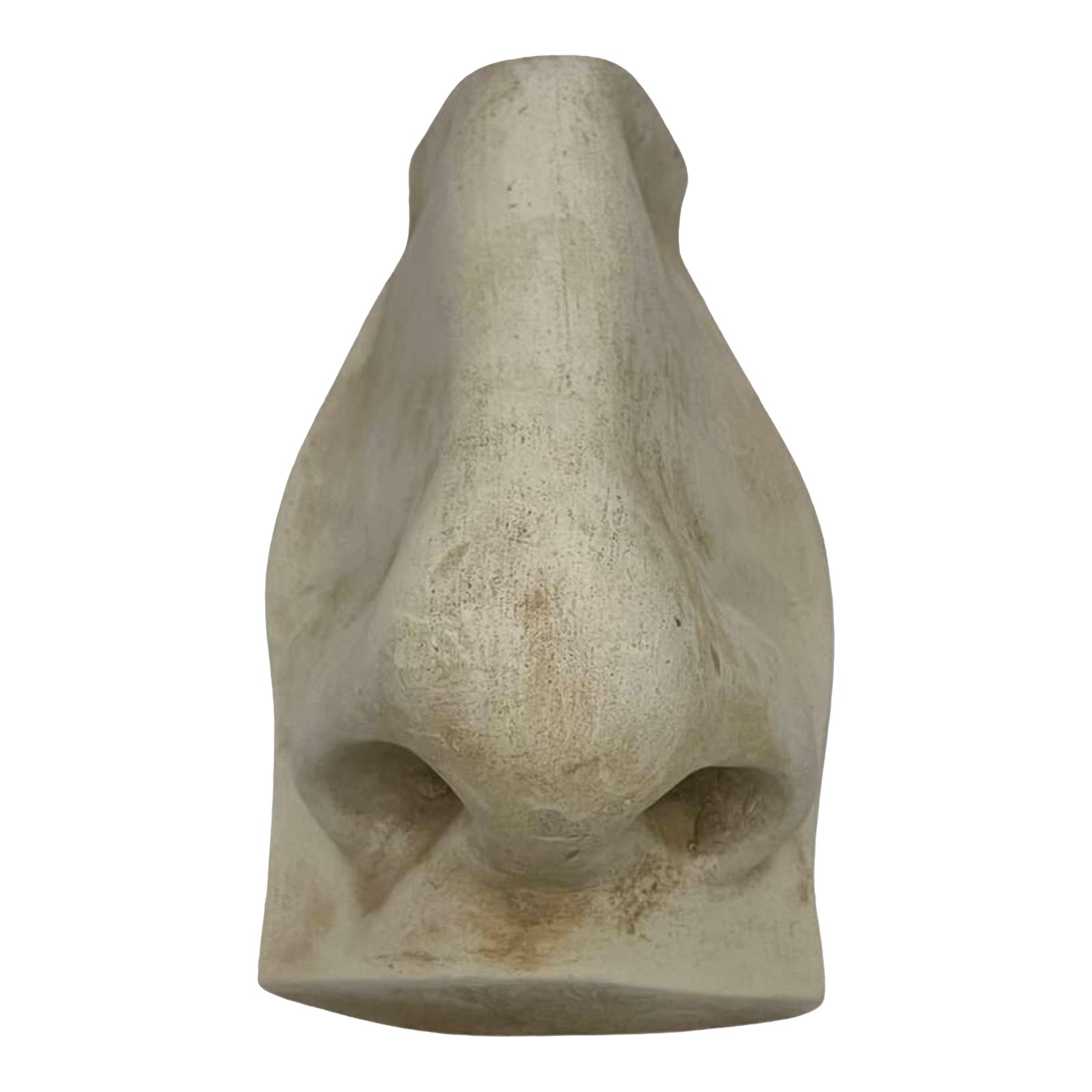 Plaster Cast of David's Nose Sculpture Wall Art | Chairish