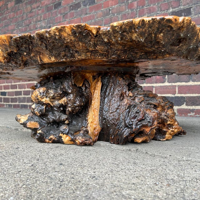 Burl Wood Root Live Edge Resin Coffee Table | Chairish