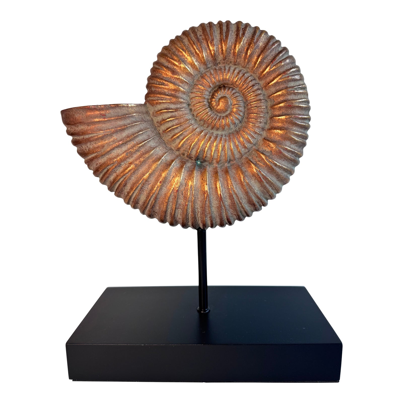 Nautilus Shell Sculpture | Chairish