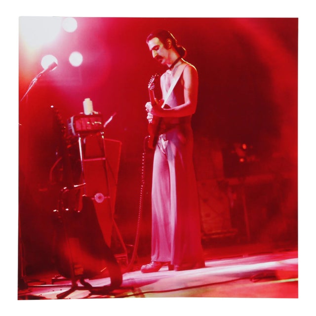 Alan Herr, Frank Zappa in Slinkypants, Circa 2000 | Chairish