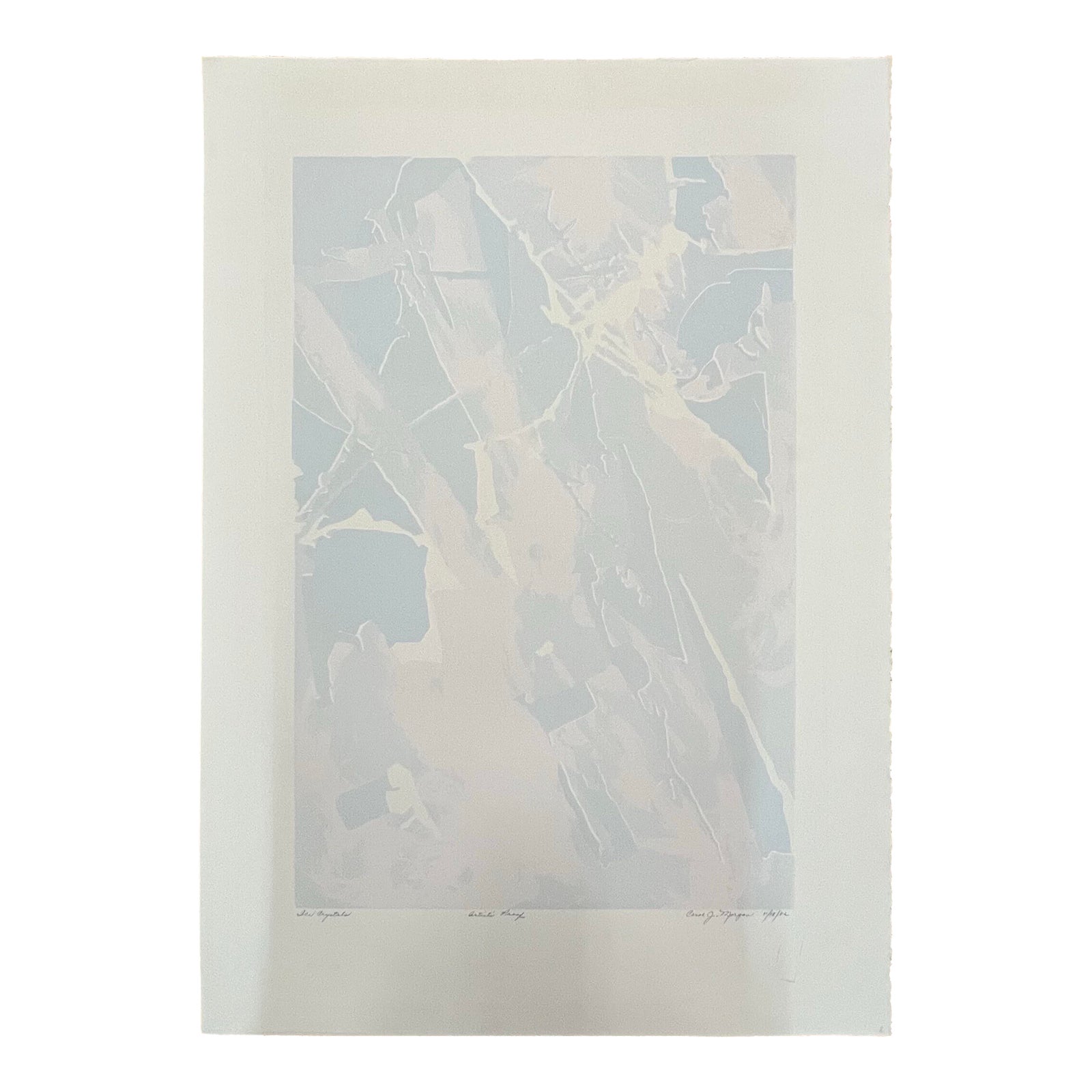 Carol Morgan “Ice Crystals” Original Lithograph Print | Chairish