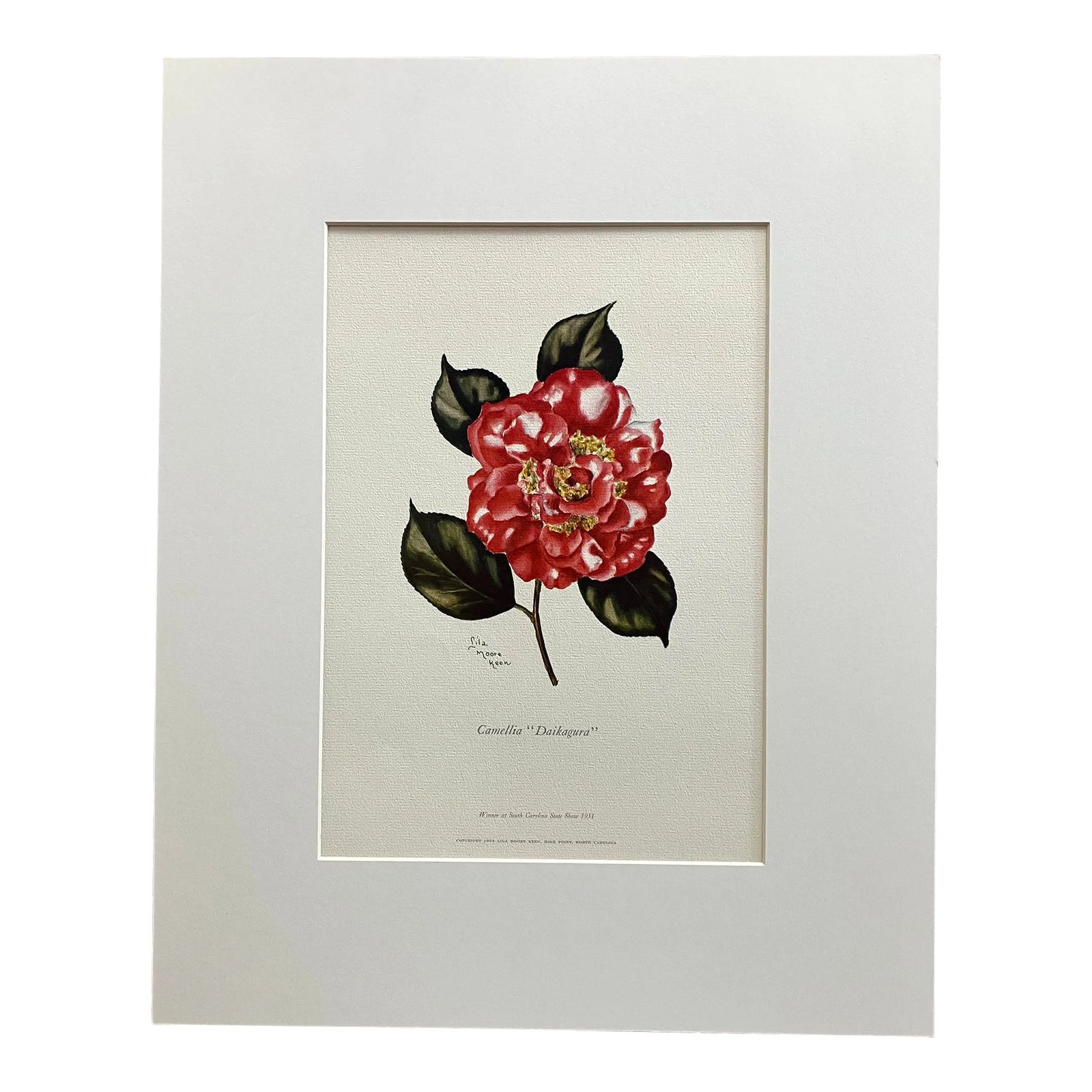 Vintage Lila Moore Keene "Camellia Daikagura" Print in 16x20 Mat | Chairish