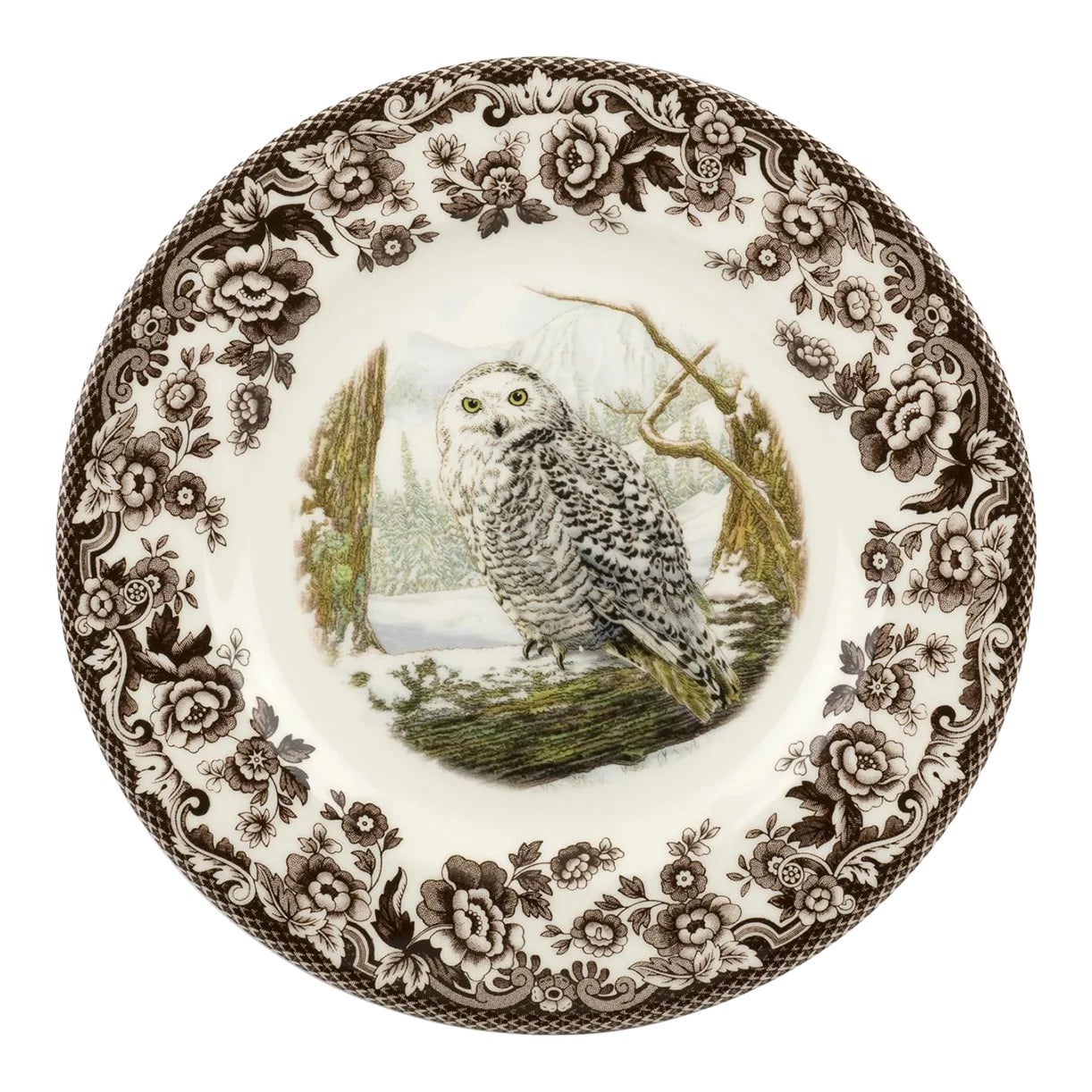 Spode Woodland Birds Of Prey Salad Plate 8", Owl | Chairish