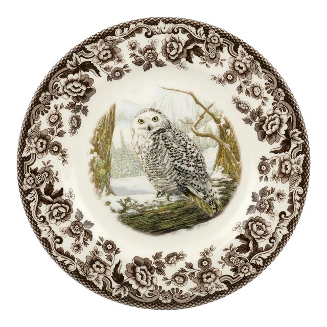 Spode Woodland Birds Of Prey Salad Plate 8", Owl | Chairish