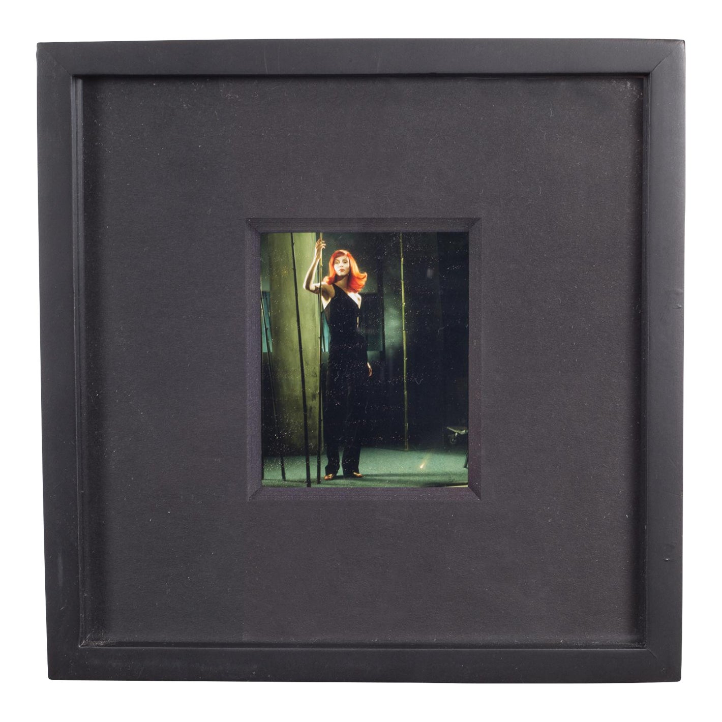 Polaroid Test Image #39 by Denise Tarantino for Dah Len Studios C.1990 ...