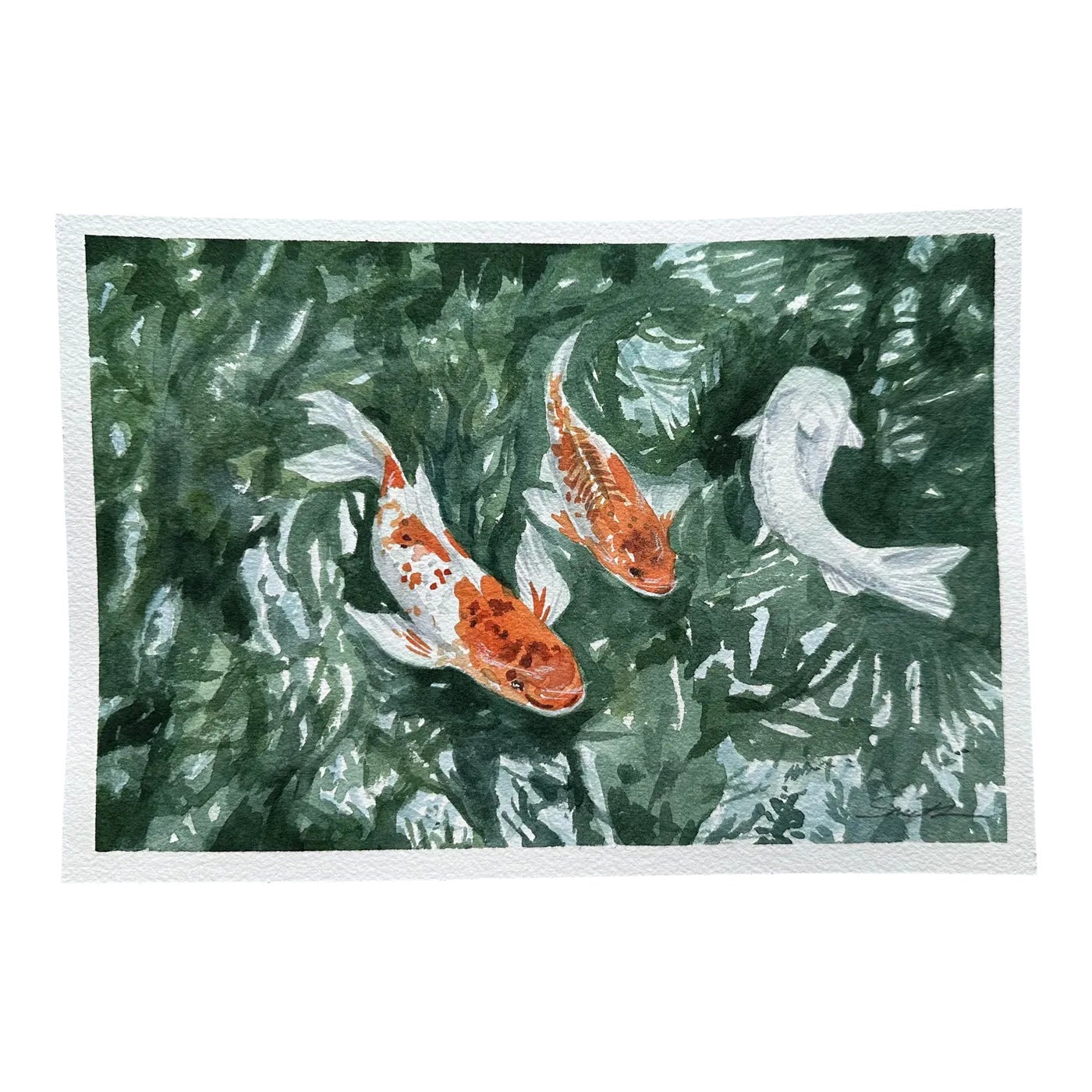 Nancy Smith Original Watercolor Painting "Three Koi" | Chairish