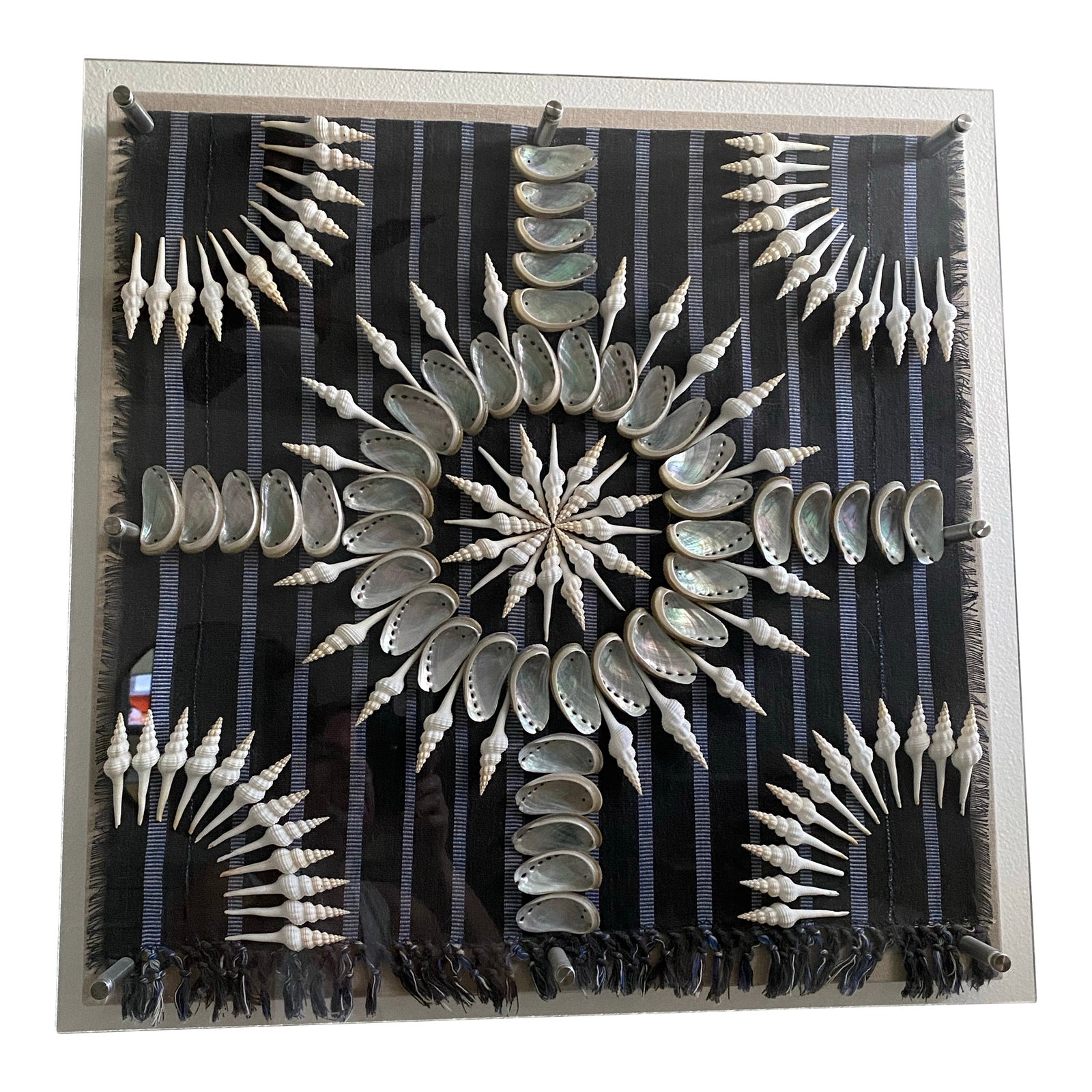 Shell Wall Art-Trudy Elliot, Framed | Chairish