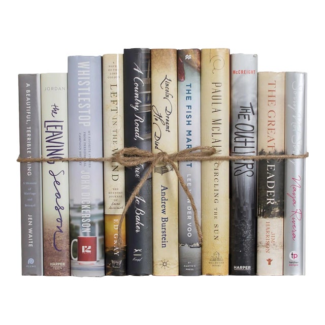 Modern Foggy Days Dust Jacket Book ColorPak | Chairish