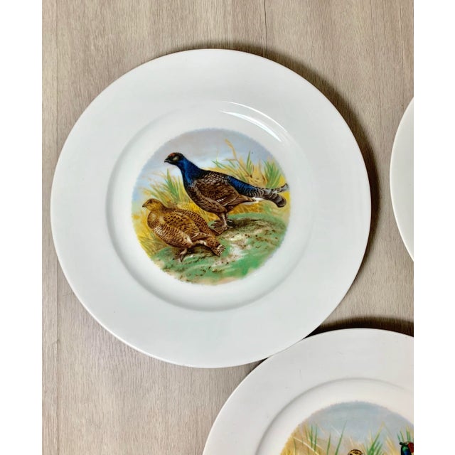 Vintage Wildlife Pheasant Porcelain Salad Plates by Heinrich Germany ...