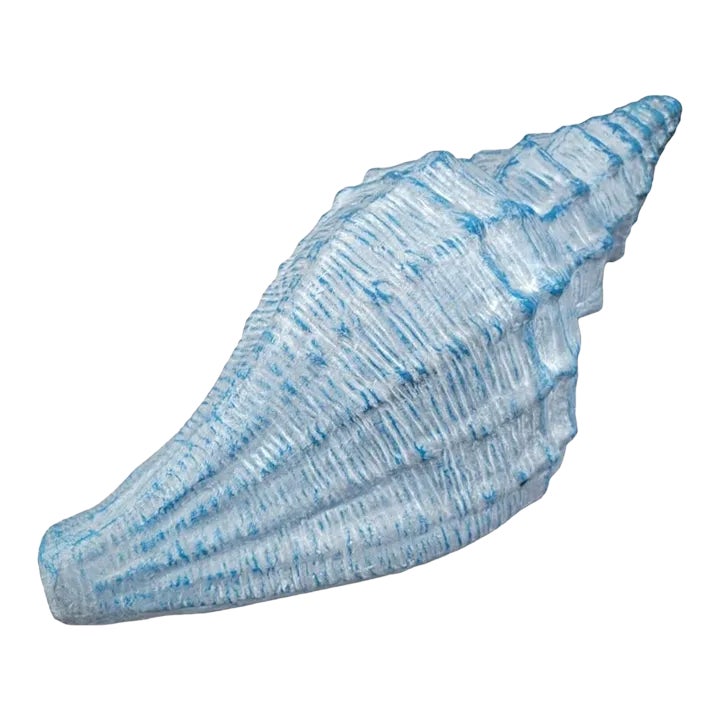 Large Blue Seashell Form Decorative Coastal Regency Room Table Decor ...