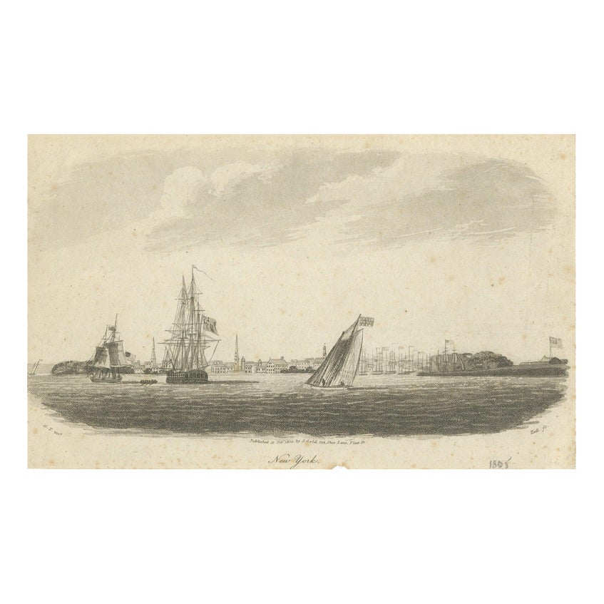 New York Harbor Panorama, 1805, Paper | Chairish