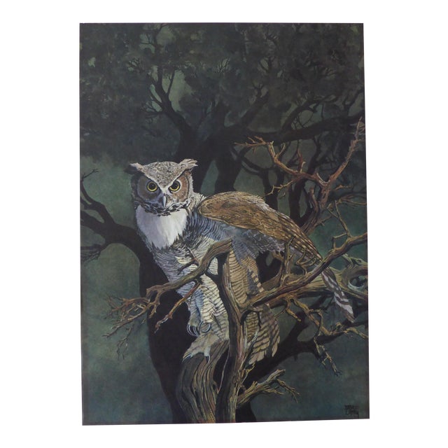 Powerful 1970s Owl Serigraph by Bruce Lattig | Chairish