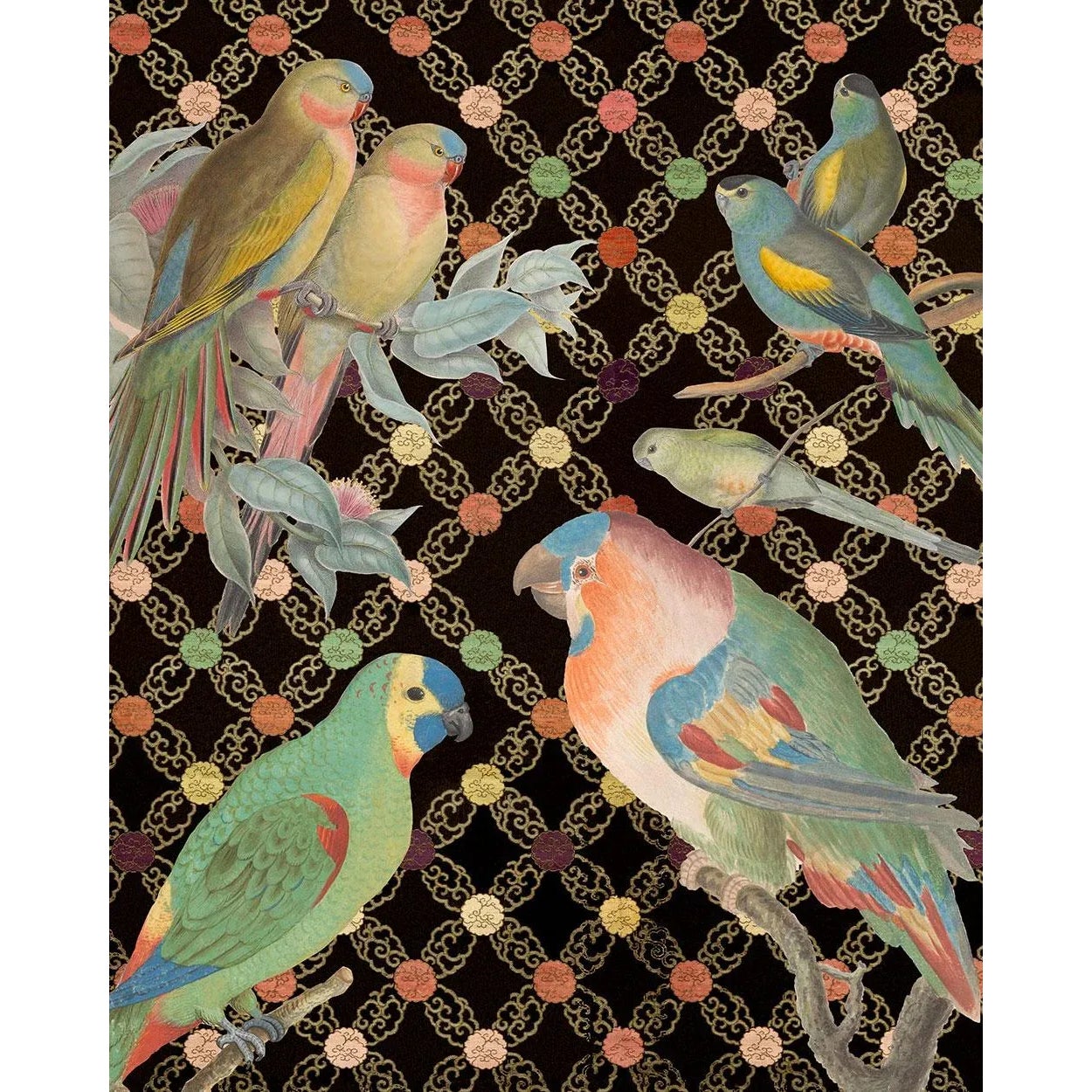 Colorful Bird Collage Unframed Print | Chairish