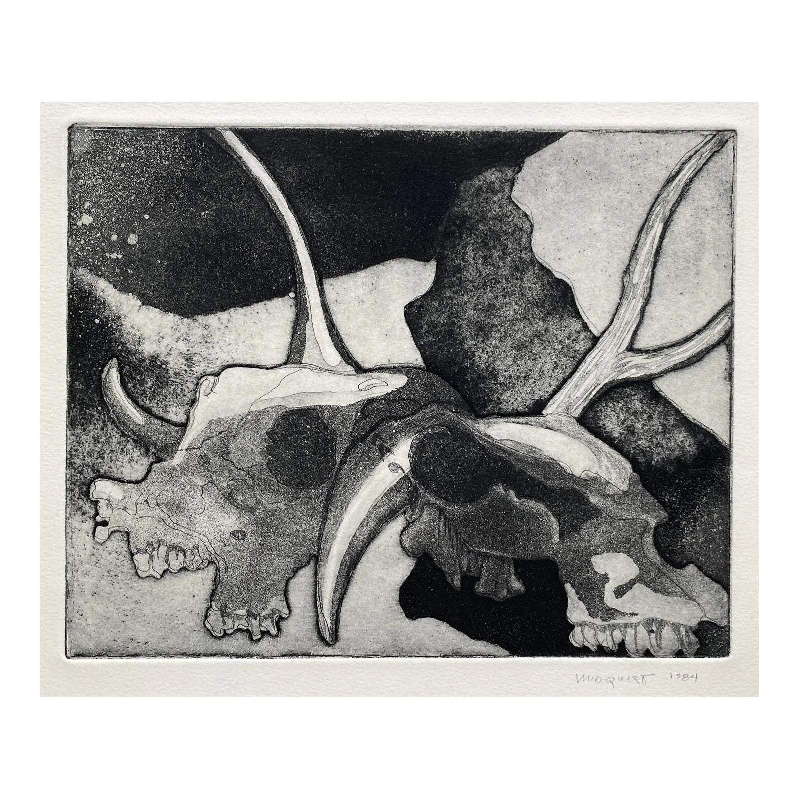 1984 Lindquist Cow Skull Etching | Chairish