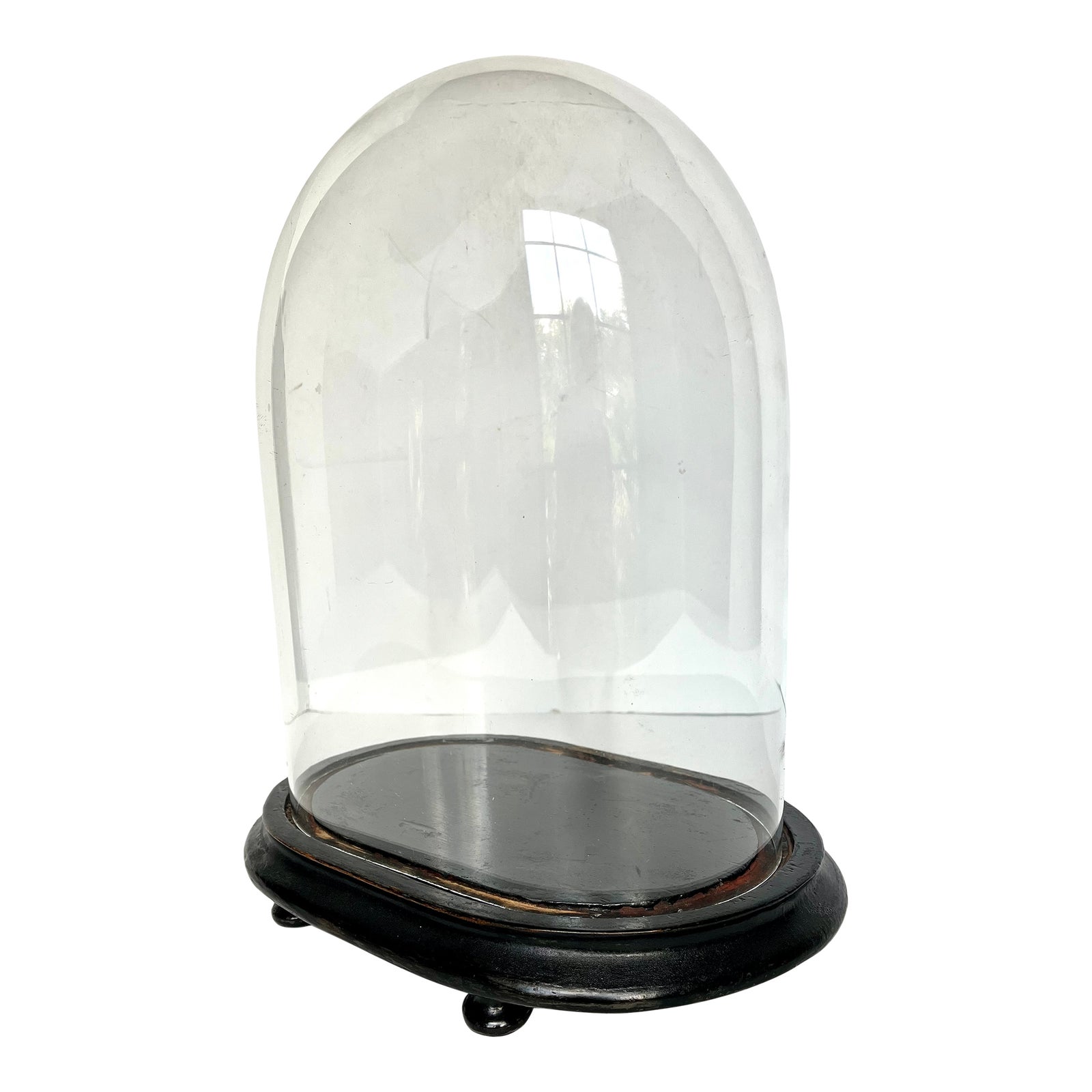 1800s French Cloche on Oval Wood Footed Stand | Chairish