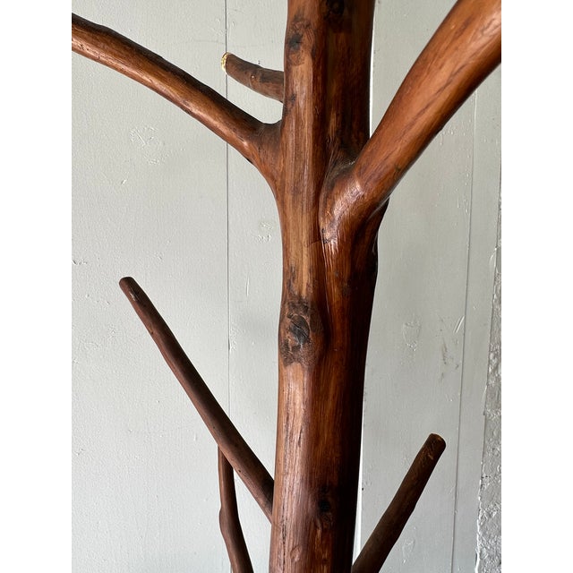 Coat & Hat Stand in Natural Tree Form on 3 Legs | Chairish