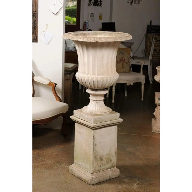 Turn of the Century Italian Campania Urn with Gadroon Motifs on Tall ...