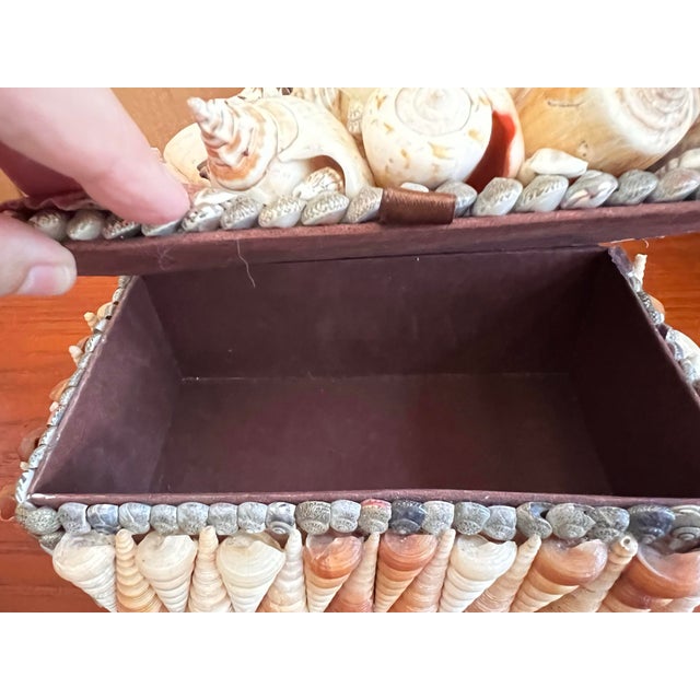 Vintage Large Seashell Box | Chairish