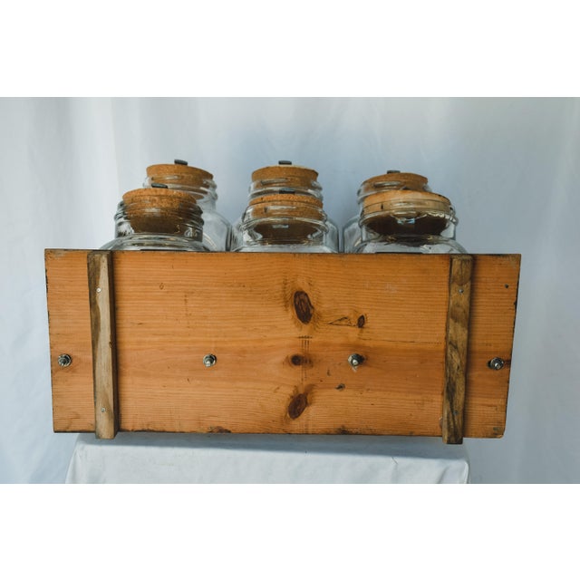 Early 20th Century French Candy Shop Dispenser | Chairish